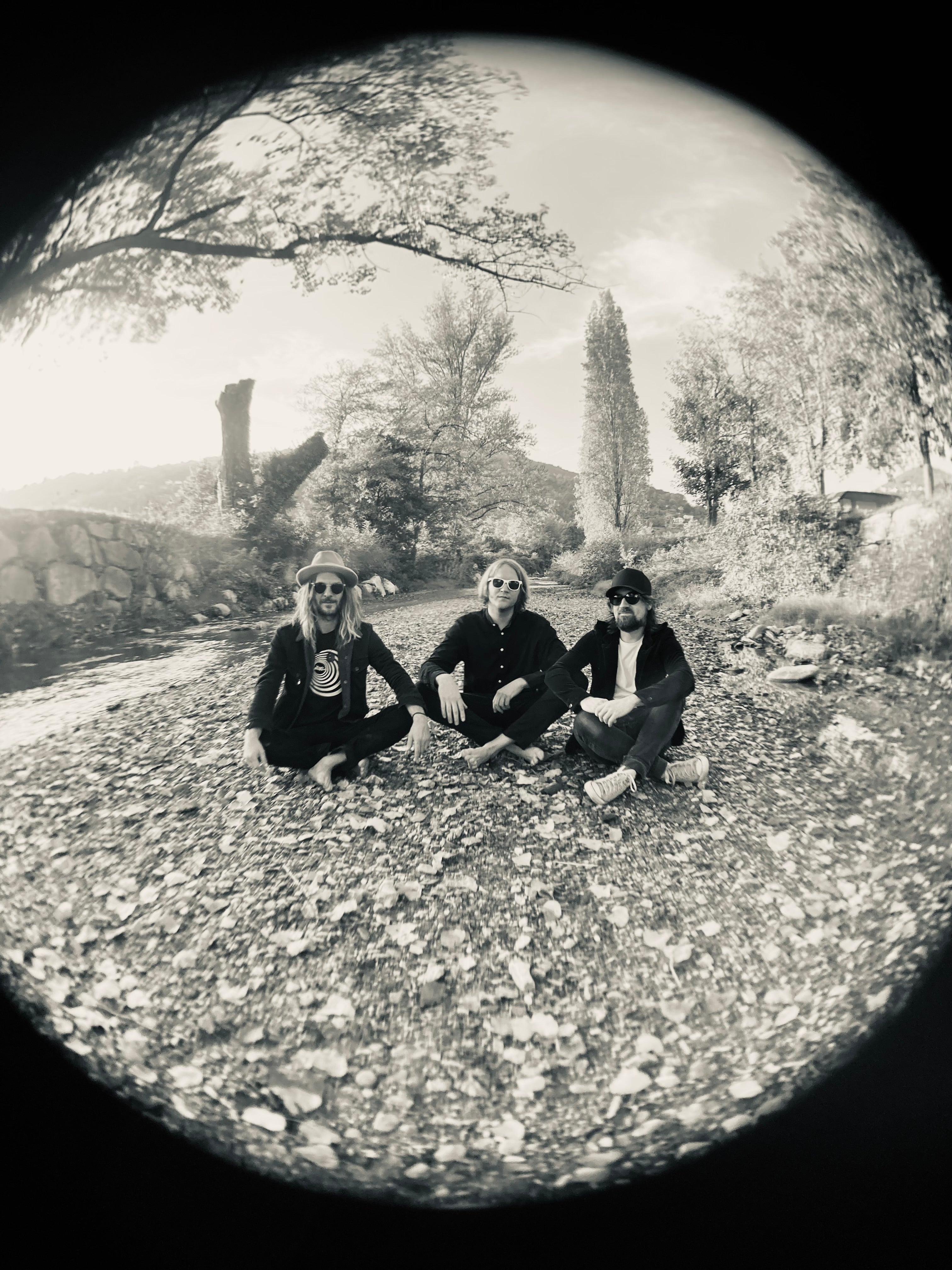 Acid Rooster – Little Cloud Records